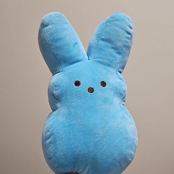 Peeps | Toys | Peeps Blue Bunny With Coloring Book | Poshmark